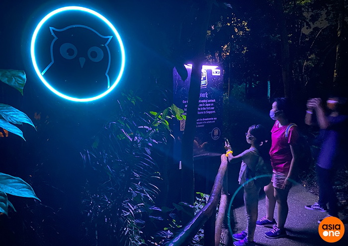 Wild About Twilight: Discover Night Safari's Digital Trail