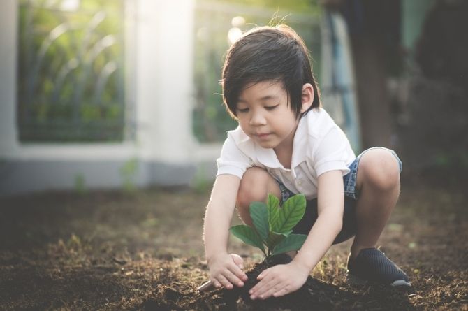 Discovery Corner Preschool: 11 Ways To Create It At Home For Kids