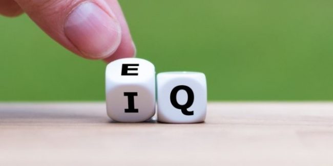IQ vs EQ vs SQ: What Are These And How Do They Affect Your Child?