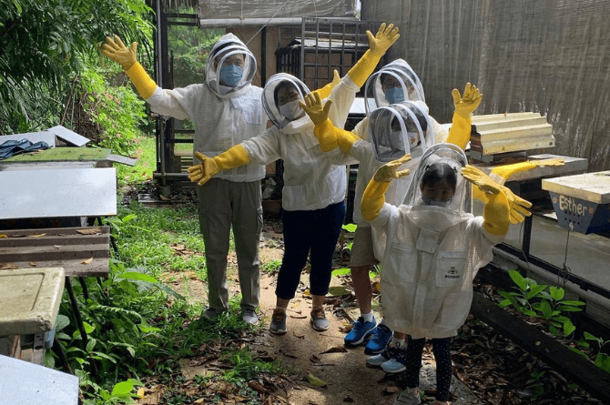 Bee Farm In Singapore: 4 Kid-Friendly Bee Farms You Can Visit