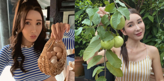 Jamie Chua's House Is Now A Model For Suatainable Living