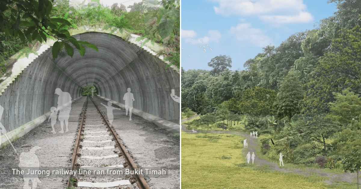 Clementi Forest Trail: 2 New Recreational Trails to Open From 2023
