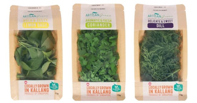Indoor Modern Farm Artisan Green Sprouts New Range Of Fresh Herbs