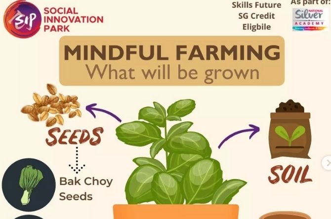 Punggol Container Park Guide: Here's How To Plan Your Day