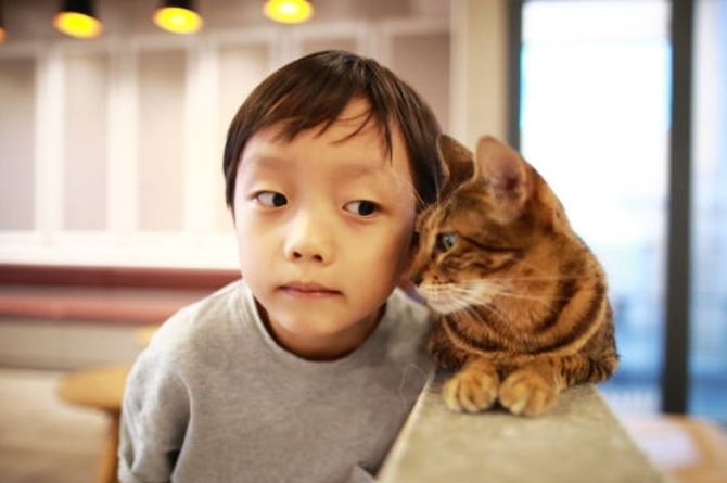 Animal Resort Singapore: 5 Places You Can Take Your Kids