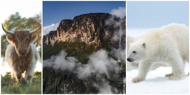 Disney+ Announces New Movies and Specials to Premiere on Earth Day