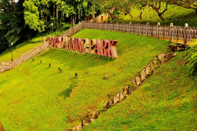Experience a Fun-Filled Day With Your Family at Fort Canning Park