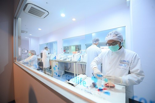 Why You Should Consider Cord Blood Banking