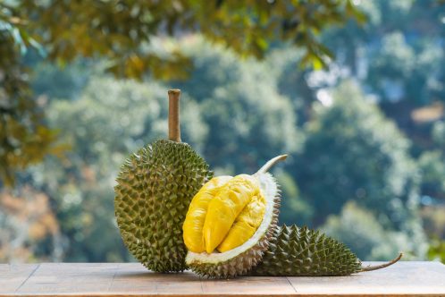 Durian Hunting 101: Where to Get Premium Durians at the Best Prices