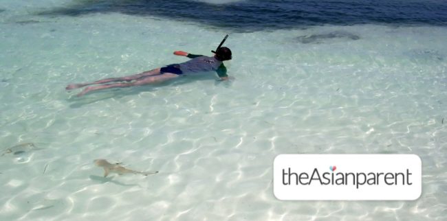 Young Shark Attack Survivor Remains Cheerful Despite Incident