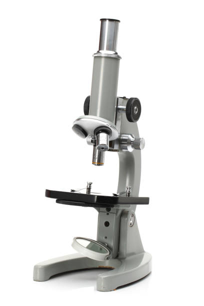 Exploring the Microcosmos: Finding A Kid’s Microscope in Singapore