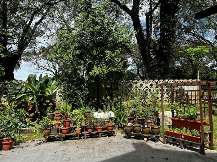 Conserved Queenstown Library Set for a Majestic Transformation in 2025