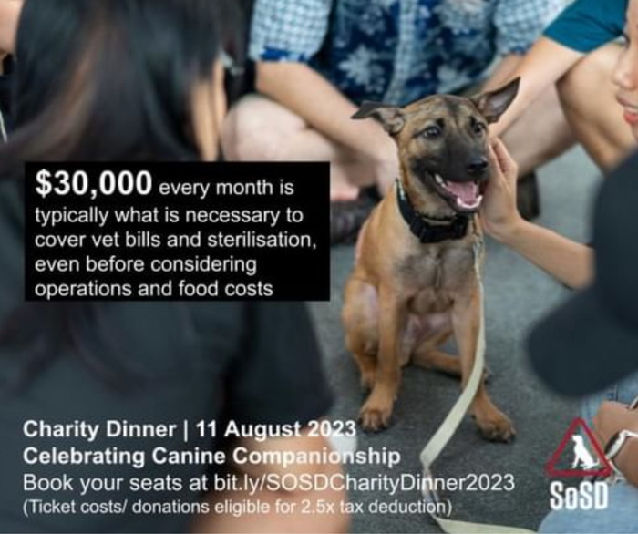 Infinity Financial Advisory Launches Paws & Provisions Campaign