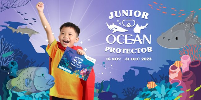 Embark on an unforgettable ocean adventure with S.E.A Aquarium