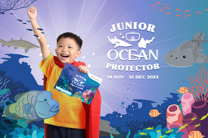 Embark on an unforgettable ocean adventure with S.E.A Aquarium