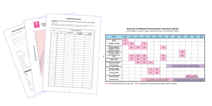 Unlocking the Secrets of the Health Booklet Singapore: A Parent's Guide