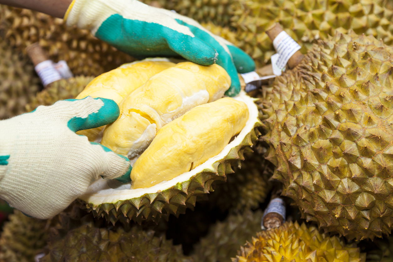 Explore the Unique Taste of Durian with These 10 Exciting Recipes