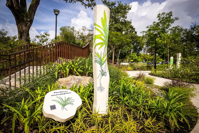 Tranquility and Fitness: 7 Things to Do at the KPMG Wellness Garden