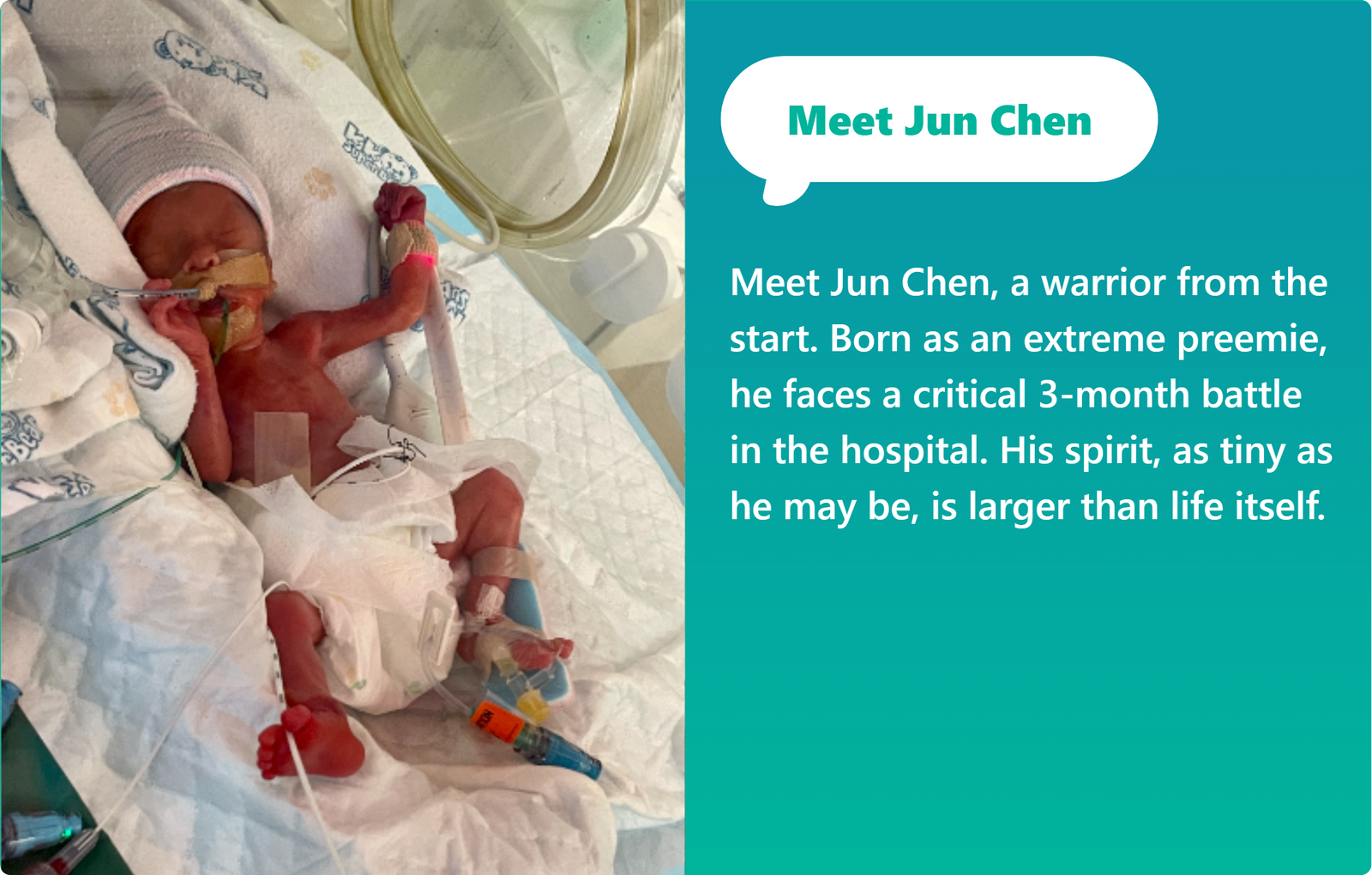 Tiny Fighter, Big Heart: The Journey of an Underdeveloped Organs Baby