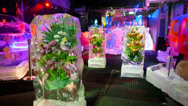 Snow City Singapore Presents: The Coloured Ice Playground