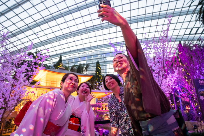 Gather Your Family at Gardens by the Bay Sakura Floral Display 2024
