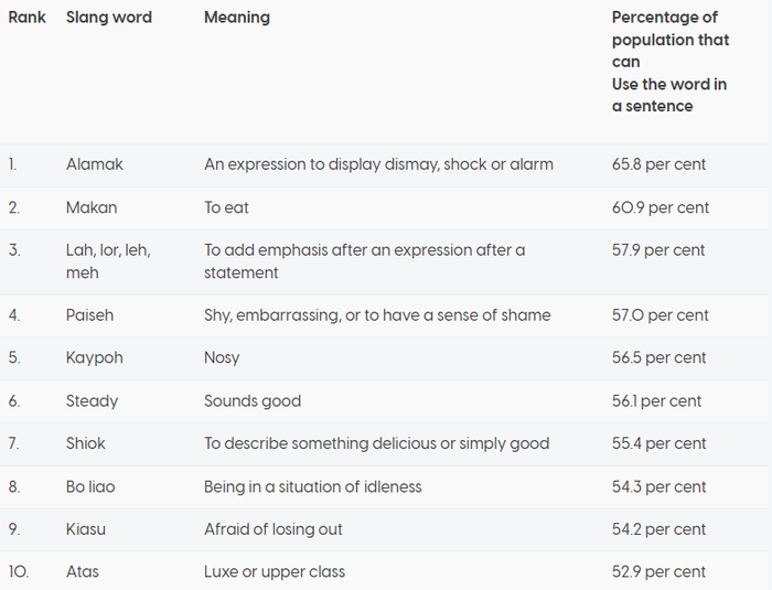 SURVEY: Top 10 Most Slay Slangs and Singlish Terms in Singapore 2024