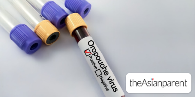 Oropouche Virus: Symptoms, Prevention and Treatments