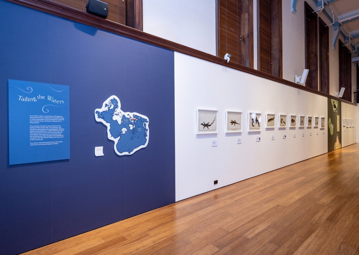SG60 List: Singapore’s Treasured Natural History Drawings Debut at the ...