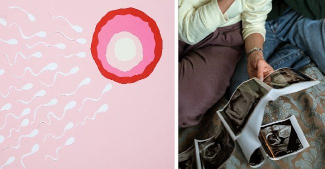 Know What Ovulation Is and When It Happens? Know to Make Promil Successful