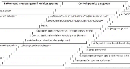 Mandul - Kenali Penyebab Kemandulan pada Pria dan Wanita