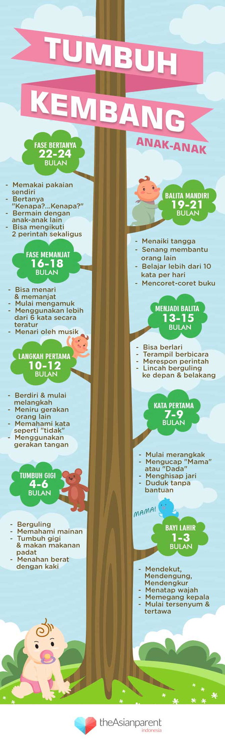 Infografik Tahap Perkembangan Anak Usia 0 Sampai 2 Tahun