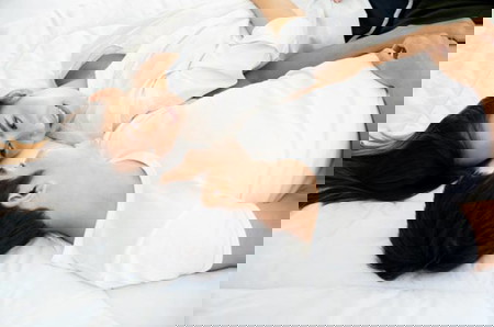 16 Posisi Seks Favorit Suami, Bunda Perlu Tahu, Nih!