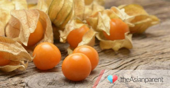 Buah ciplukan, dari mana asal usul dan apa saja manfaatnya?