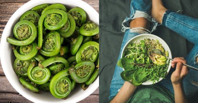 Sayur pakis - 5 manfaat menakjubkan sayur pakis bagi kesehatan!