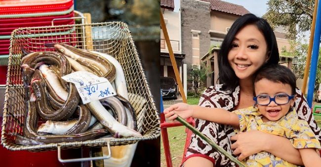 Manfaat belut untuk anak sebagai sumber protein yang murah dan bergizi