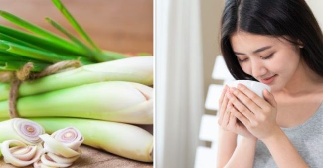 Manfaat sereh untuk kesehatan tubuh, Parents wajib tahu nih.