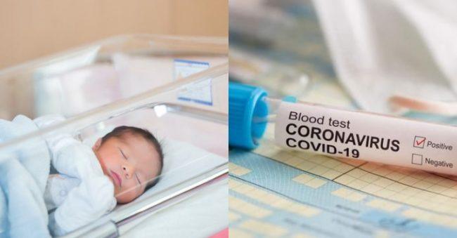 Bayi 6 Hari Positif Corona di NTB Akibat Penularan Lokal