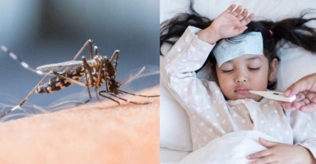 Waspada DBD, pasien meninggal akibat DBD lebih banyak dari corona