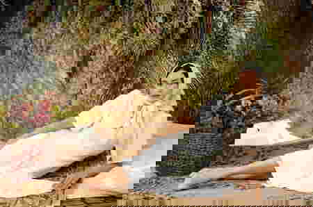 11 Nama Asli Artis Indonesia, Anya Geraldine hingga Ariel NOAH!