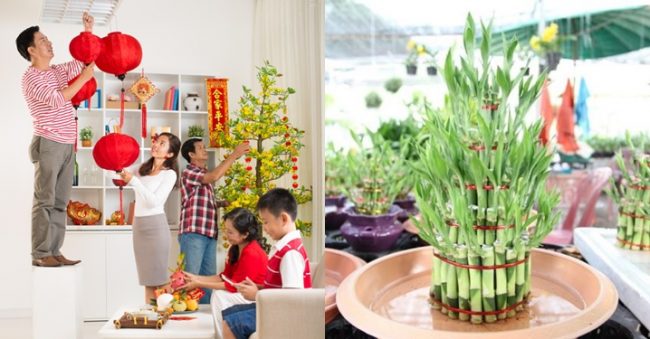 9 Bunga dan Tanaman untuk Menyambut Imlek, Apa Saja?