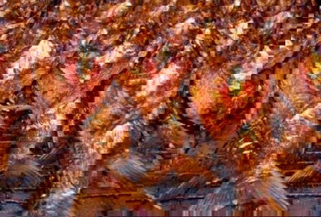 10 Makanan Khas Ambon yang Populer dan Wajib Dicoba