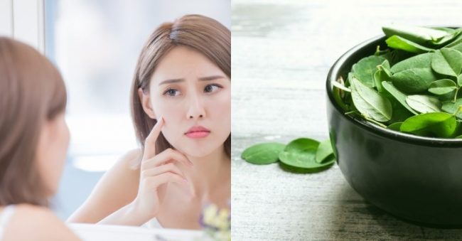 7 Manfaat Daun Kelor Untuk Wajah Yang Sayang Dilewatkan