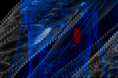 Splenomegali: Gejala, Penyebab, dan Pengobatan yang Bisa Dilakukan