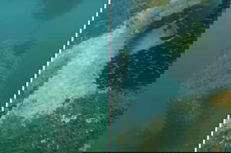 5 Museum Bawah Air di Belahan Dunia untuk Wisata Keluarga