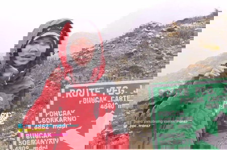 9 Fakta Menarik dan Pesona Keindahan Gunung Jaya Wijaya