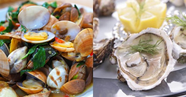 10 Jenis Kerang yang Biasa Ditemui di Indonesia dan Dikonsumsi