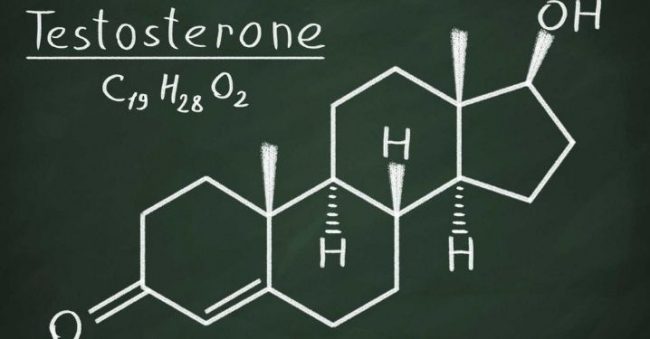 10 Fakta Tentang Hormon Testosteron yang Harus Diketahui