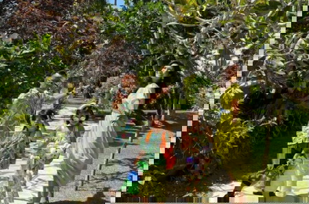 13 Potret Anak Pertama Judika, Sudah Pintar Nyanyi!