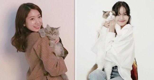 9 Artis Korea Pecinta Kucing, Lisa Blackpink hingga Park Shin Hye