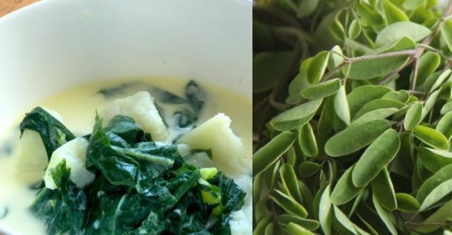 Sejarah, Makna, dan Resep Sayur Daun Kelor Uta Kelo